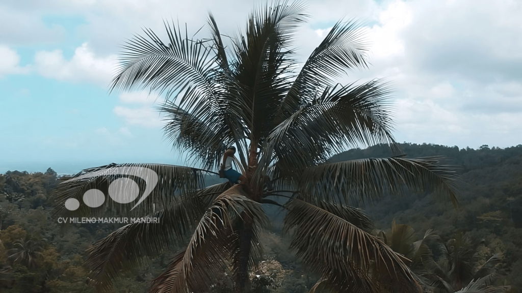 Gallery – CV Mileno Makmur Mandiri